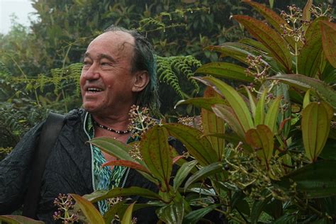 Patrick Blanc By A Usual Rainy Day In Miconia Robinsoniana And Fern