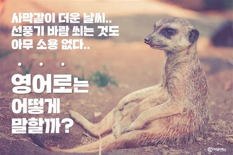 커리어패스 ~해봐야 소용없다 영어 로는 어떻게 말하지 직업 별로 따로 배우는 실전영어