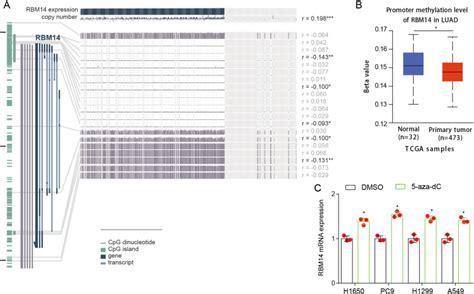 Rbm14 As A Novel Epigenetic Activated Tumor Oncogene Is Implicated In