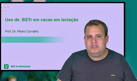 Aula Prática Sobre Uso De Bstr Em Vacas Em Lactação Vet Profissional
