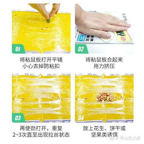粘鼠板什么牌子的最好用家里有老鼠怎么能彻底消灭餐厅老鼠太多怎么办 知乎
