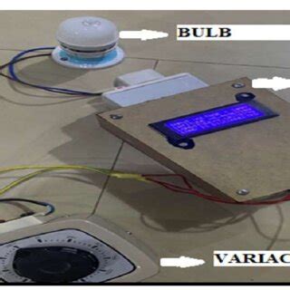 Set Up For The Testing Of Each Of The Conditions Download Scientific Diagram