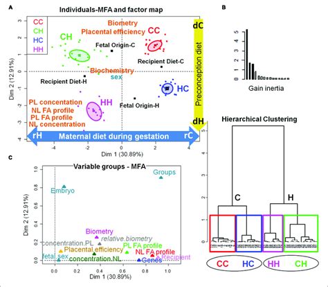 Multifactorial Analysis Of The Combination Of Feto Placental