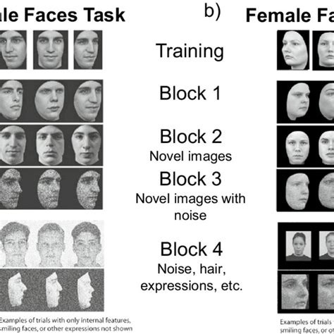 Male And Female Face Recognition Tasks Task Outlines Of The A Male Download Scientific