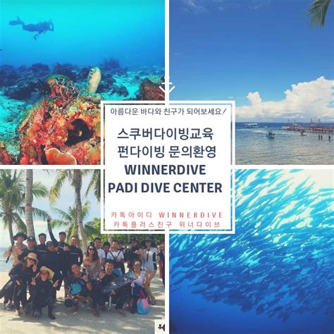 착한장사꾼 🙌클럽벨 지도자 티셔츠 쿨론 기능과 향균기능을 갖춘 기능성 원단으로 뛰어난 수분 흡수력과 건조기능으로 스포츠 및 레저웨어에 사용되어 착용감이 뛰어나며 신체 내