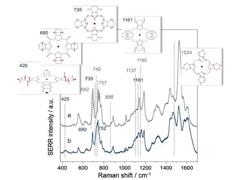 Surface Enhanced Resonance Raman Serr Spectra Of The Cupc Oh 8 Download Scientific Diagram