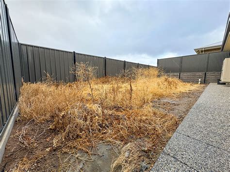 Moana Beach Project Akers Of Lawn