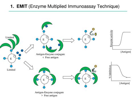 Bioinorganic And Immunoassay Group Seoul Womens University Ppt Download
