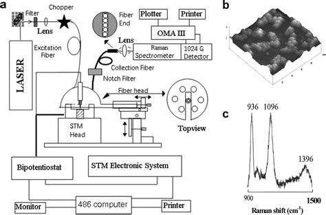 Surface Enhanced Raman Spectroscopy A Half Century Historical