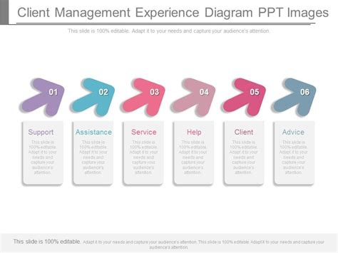 Client Management Experience Diagram Ppt Images