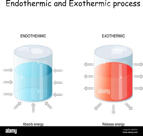 Endothermic Solution Process At Wilfred Hill Blog