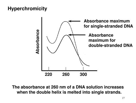 Genomic Dna Genes Chromatin Ppt Download