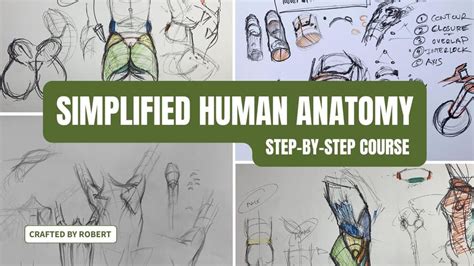 Human Anatomy For Artists Complete Drawing Course With Timed Practice