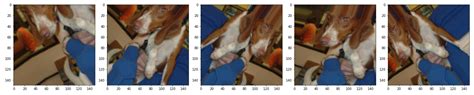 How Does Data Augmentation Reduce Image Classification Overfitting