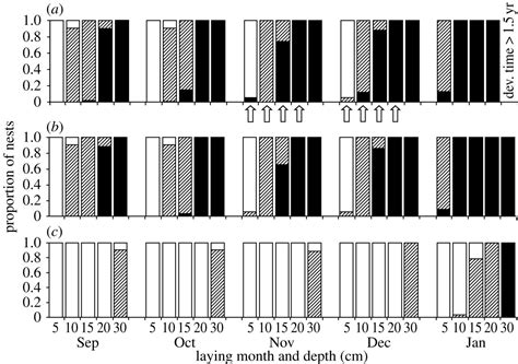 Predicting The Fate Of A Living Fossil How Will Global Warming Affect Sex Determination And