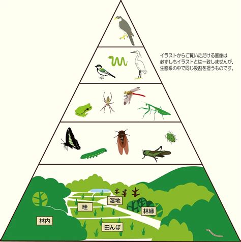 生物多様性