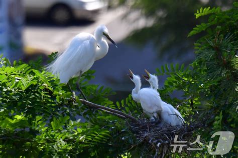 빨리 주세요 뉴스1