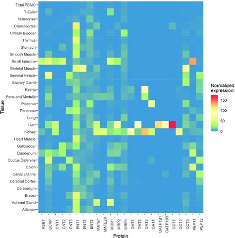 Transcript Expression Levels Of Drug Transporters In Various Tissues