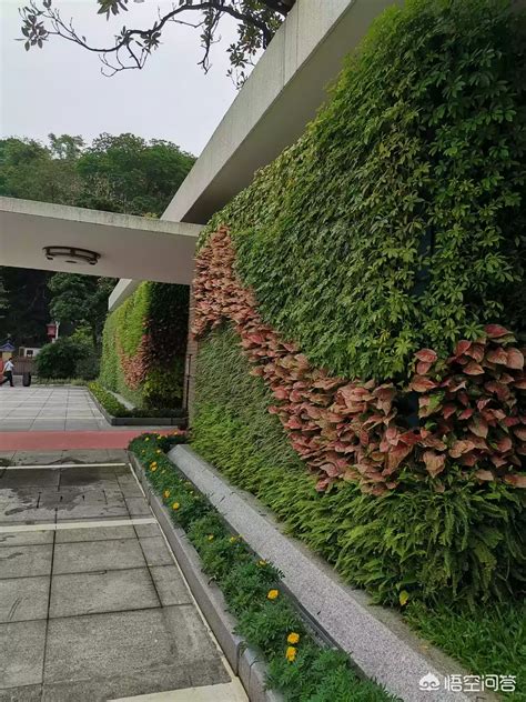 如果妈妈得了癌症晚期并已开始扩散作为子女是否要继续为她治疗下去还会有希望吗 远见健康养老的回答 头条问答