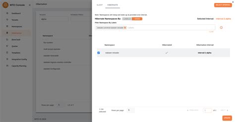 Hibernation Workflow Multi Tenant Operator