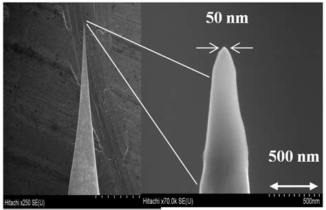 Sem Image Of The Apex Of The W Tip After Electroplating Etching