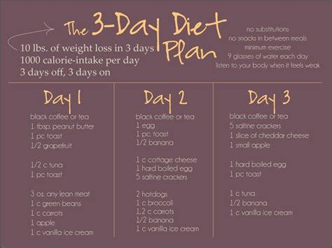 3 Day Diet Plan Something I Would Try With 2 Snacks Also I Dont Think It