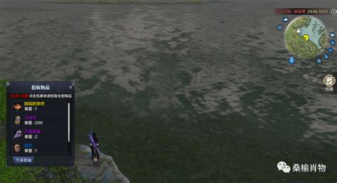 使用 Net 标记游戏地图关键坐标点 董川民