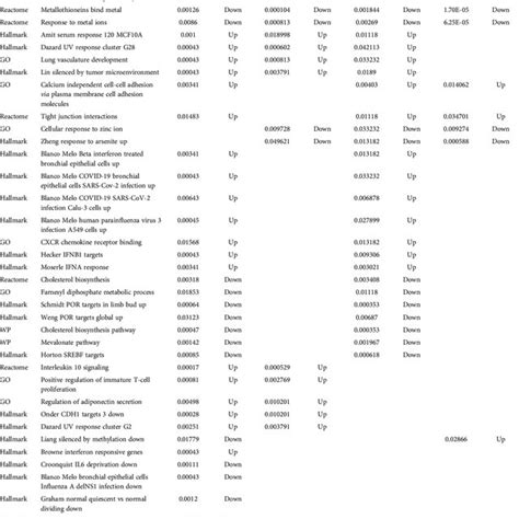 Directionality And Adjusted P Values For Enriched Terms Across Multiple