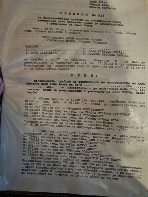 Рупча Продава Ниви Земеделска земя 3000 кв м трета категория Земеделска земя градини лозя г