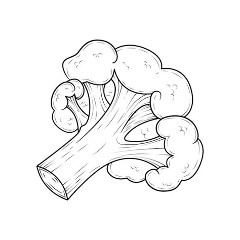 Premium Vector Broccoli Line Art