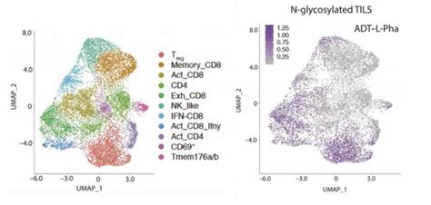 热点联动 单细胞测序 糖基化修饰会发生什么化学反应？ 知乎