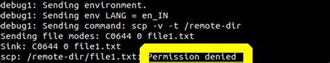 Scp Permission Denied Error Solved Technology Savy