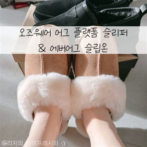 어그 슬리퍼 겨울 필수 추천템 오즈웨어 어그 밴딩 슬리퍼 남자 어그 에버어그 포터 슬립온 사이즈 추천 네이버 블로그