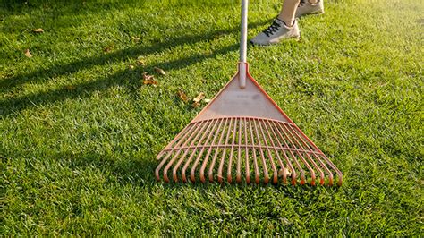 How To Use A Lawn Leveling Rake The Easiest Guide Women Daily Magazine