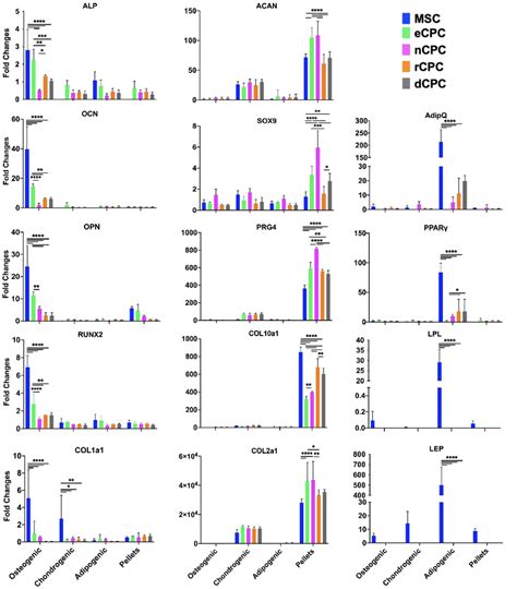 Qrt Pcr Of Trilineage Differentiated Cpcs Vs Mscs The Osteogenic Alp