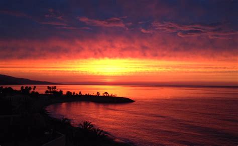 Elisa Simonelli Simonellielisa Twitter