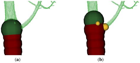 Forests Free Full Text Simpletree —an Efficient Open Source Tool To