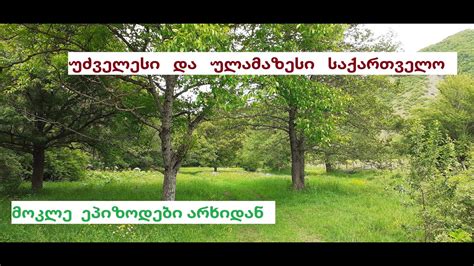მიტოვებული სოფლები ეკლესია მონასტრები ტბები და ტყეები მოკლე ეპიზოდები ვიდეოებიდან Youtube