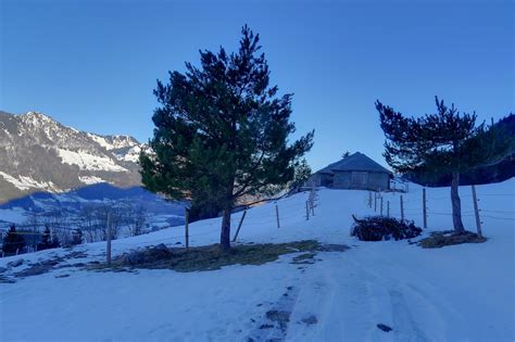 Randonnée à Ski Aux Millets Depuis Lessoc Retour Par Le Sex Des Rayes Transpiree