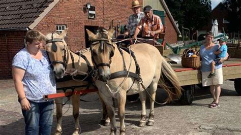 Geschichtsstunde Mit Pferd Und Wagen