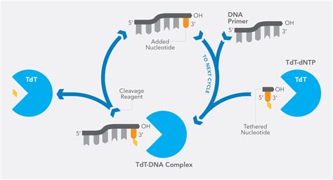 Next Level Reagent Handling For Oligonucleotide Synthesis