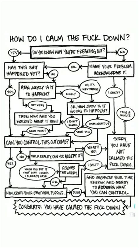 Problem Solving Flow Chart November 2009 Page 6