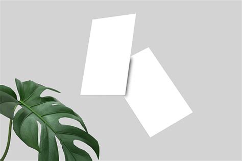 나뭇잎 모형 템플릿이있는 현대 명함 프리젠 테이션 브랜딩 기업 정체성 광고 3d 렌더링 0명에 대한 스톡 사진 및 기타 이미지