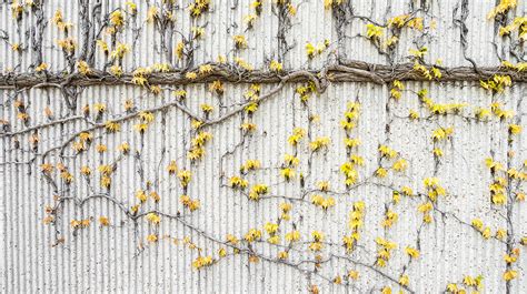 异常处理都有哪些陷阱 代码精进之路 极客时间