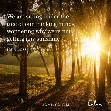 Pin By Kurlya On Calm Shine In 2024 Daily Calm Calm Quotes Life