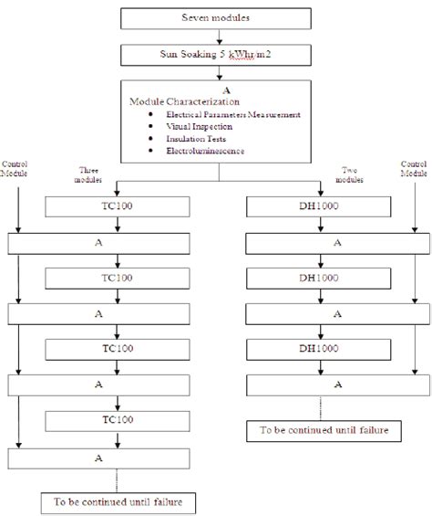 Experiment Flowchart Download Scientific Diagram