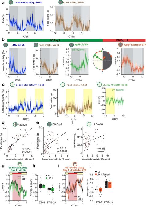 Effect Of Light Schedule On Agrp Neuron Rhythms A Average Locomotor Download Scientific