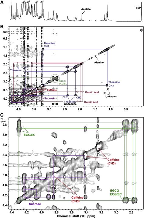 Two Dimensional D H H TOCSY NMR Spectrum Of Green Tea The D Download Scientific