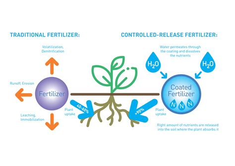 Controlled Release Fertilizer Stamicarbon