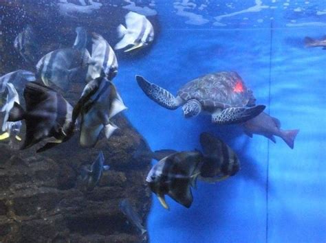 北海海底世界海濱公園 每日頭條
